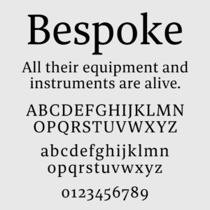 Bespoke Serif Font｜GOOD FONTS